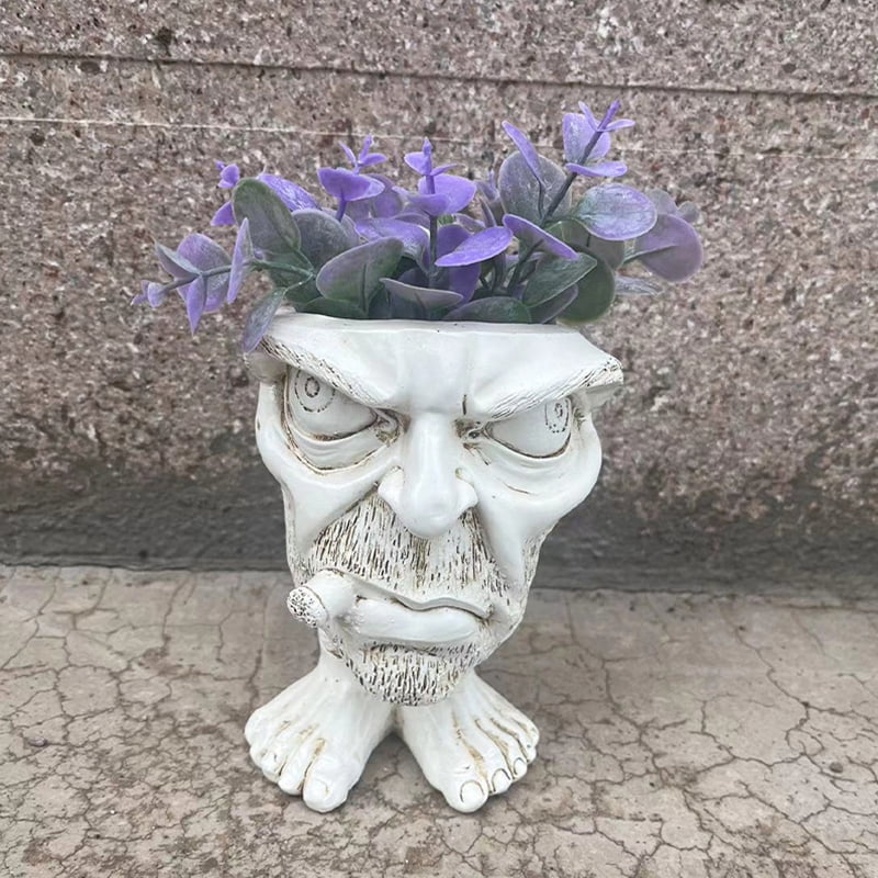 Fun and Colorful Unique Muggle Face Resin Succulent Plant Planter Pot ...