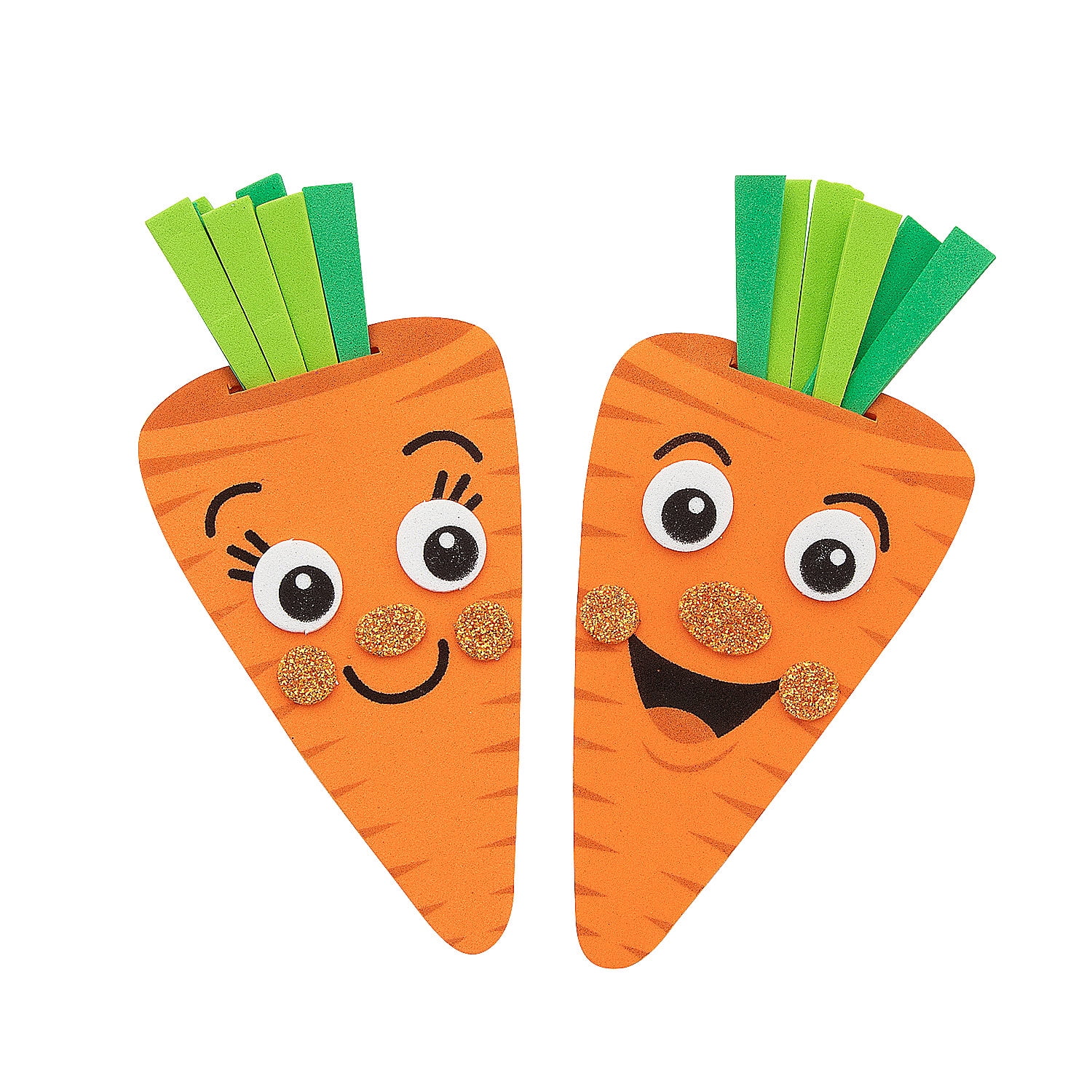 Fun Express 2 1/2" x 5 1/4" Silly Carrot Characters Magnet Craft Kit ...