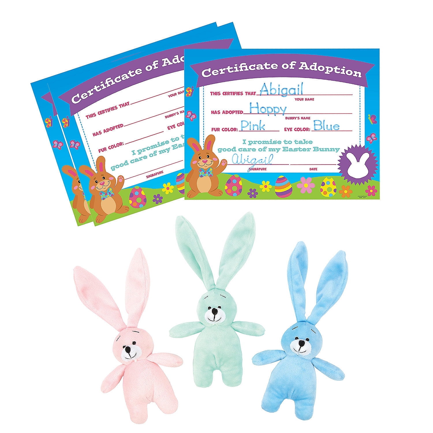 Fun Express 24 Pieces Easter Bunny Adoption Kit for 12 - Walmart.com