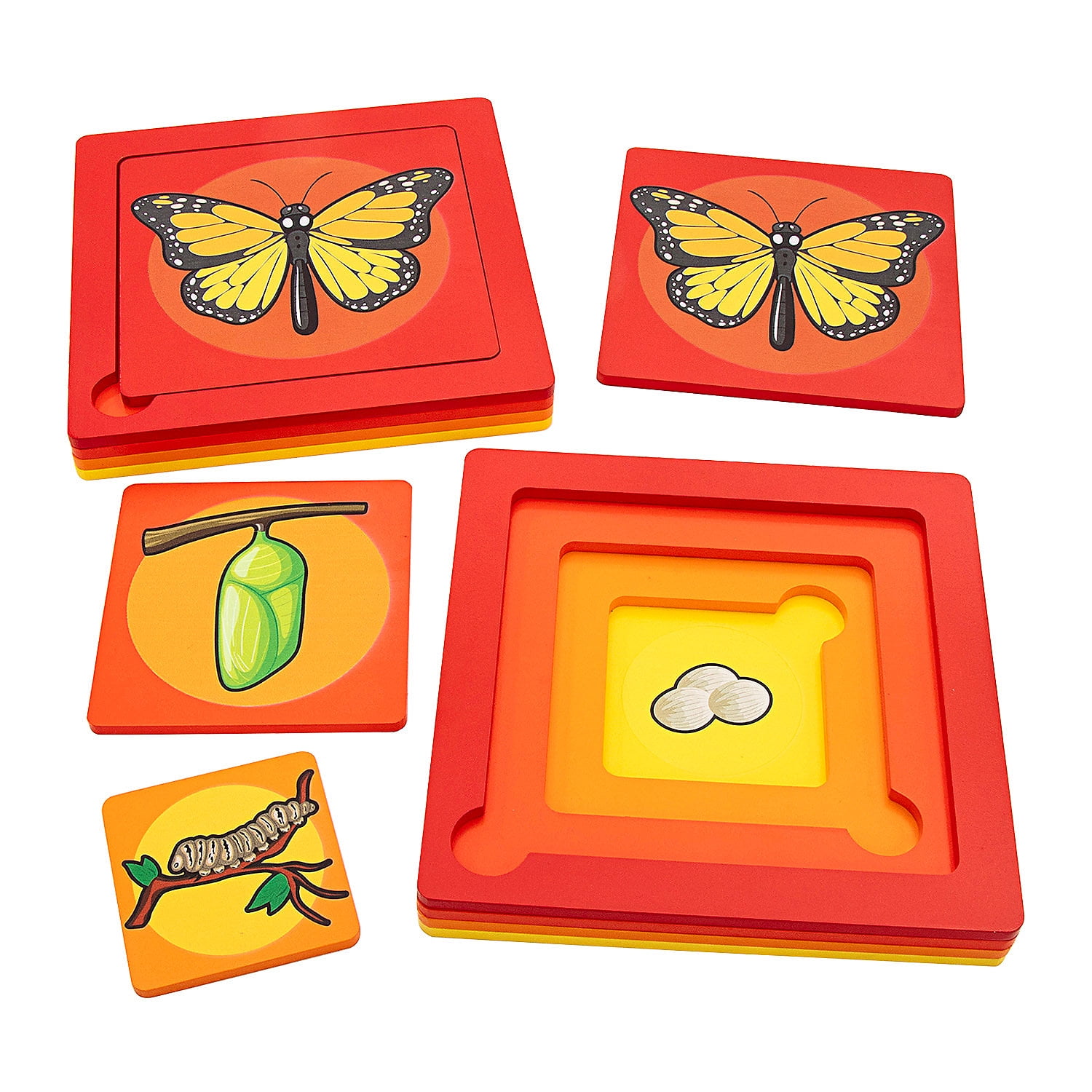 Fun Express 7 1/2" x 7 1/2" Butterfly Life Cycle Educational Wood ...