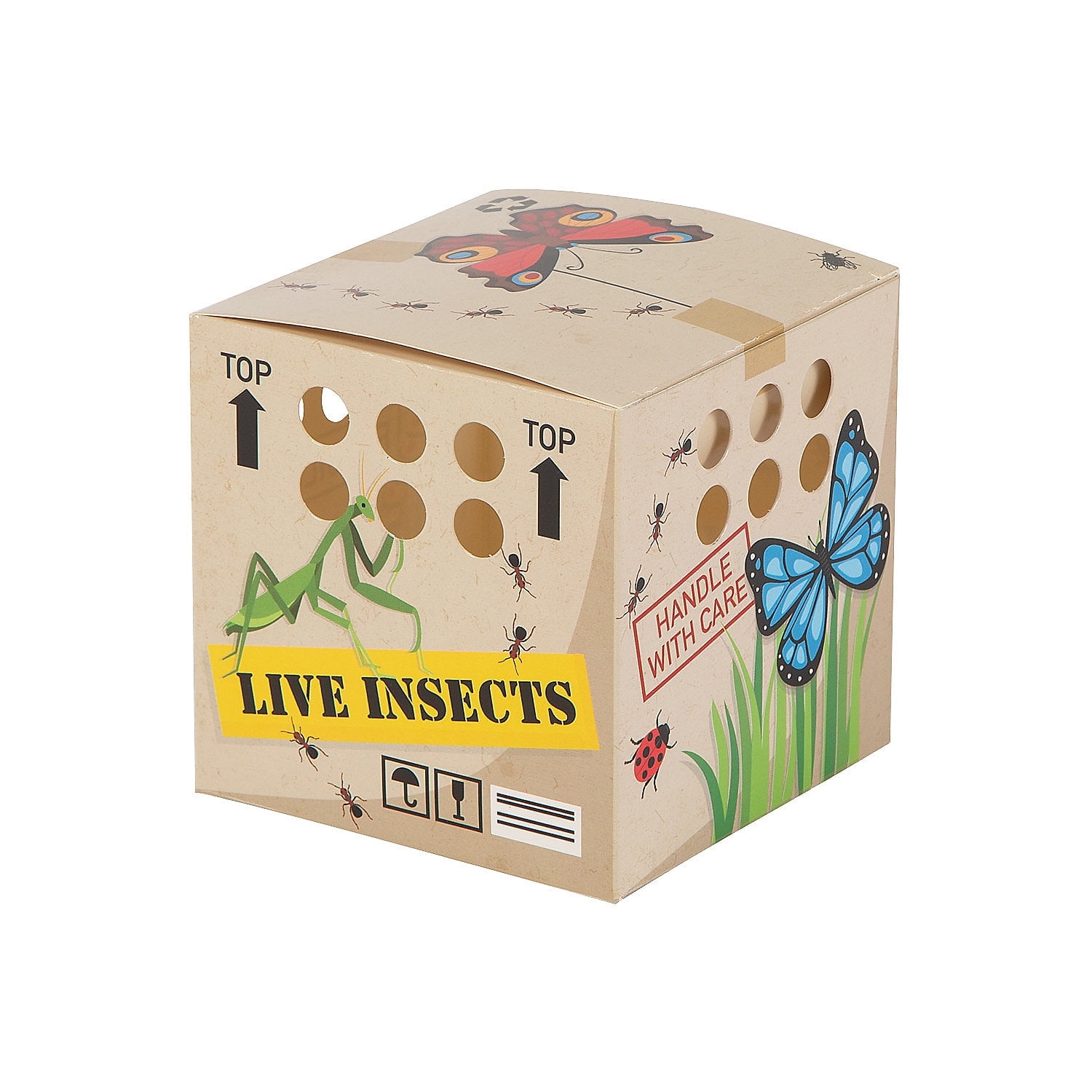 Fun Express Backyard Adventure Favor Boxes - Perfect for Birthday ...