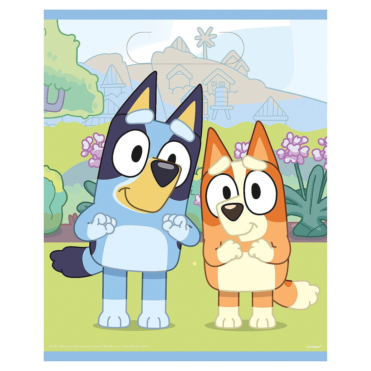 Bluey Candy Bags