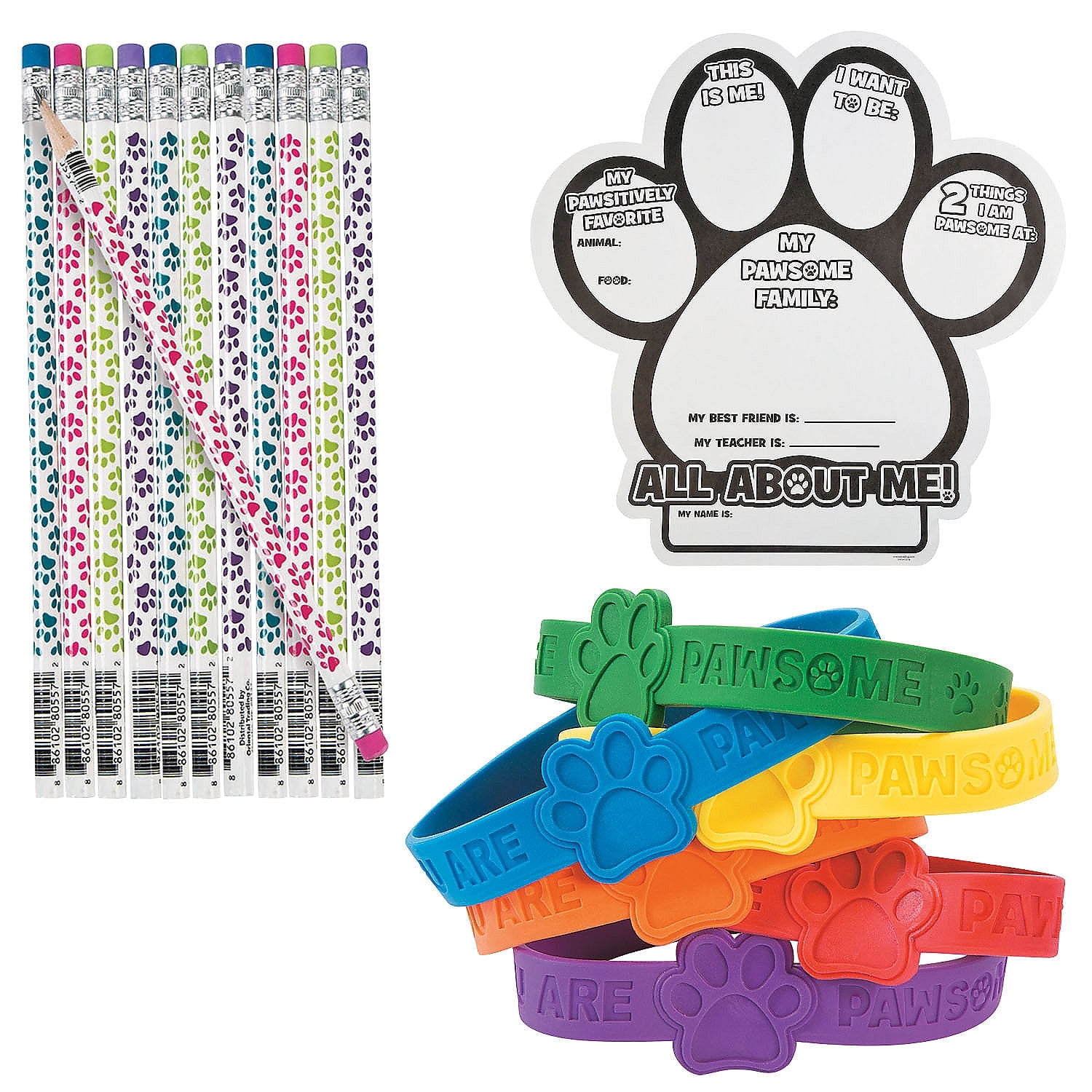 Fun Express Color Your Own Paw Print Stationery Poster Kit – 78 Piece ...