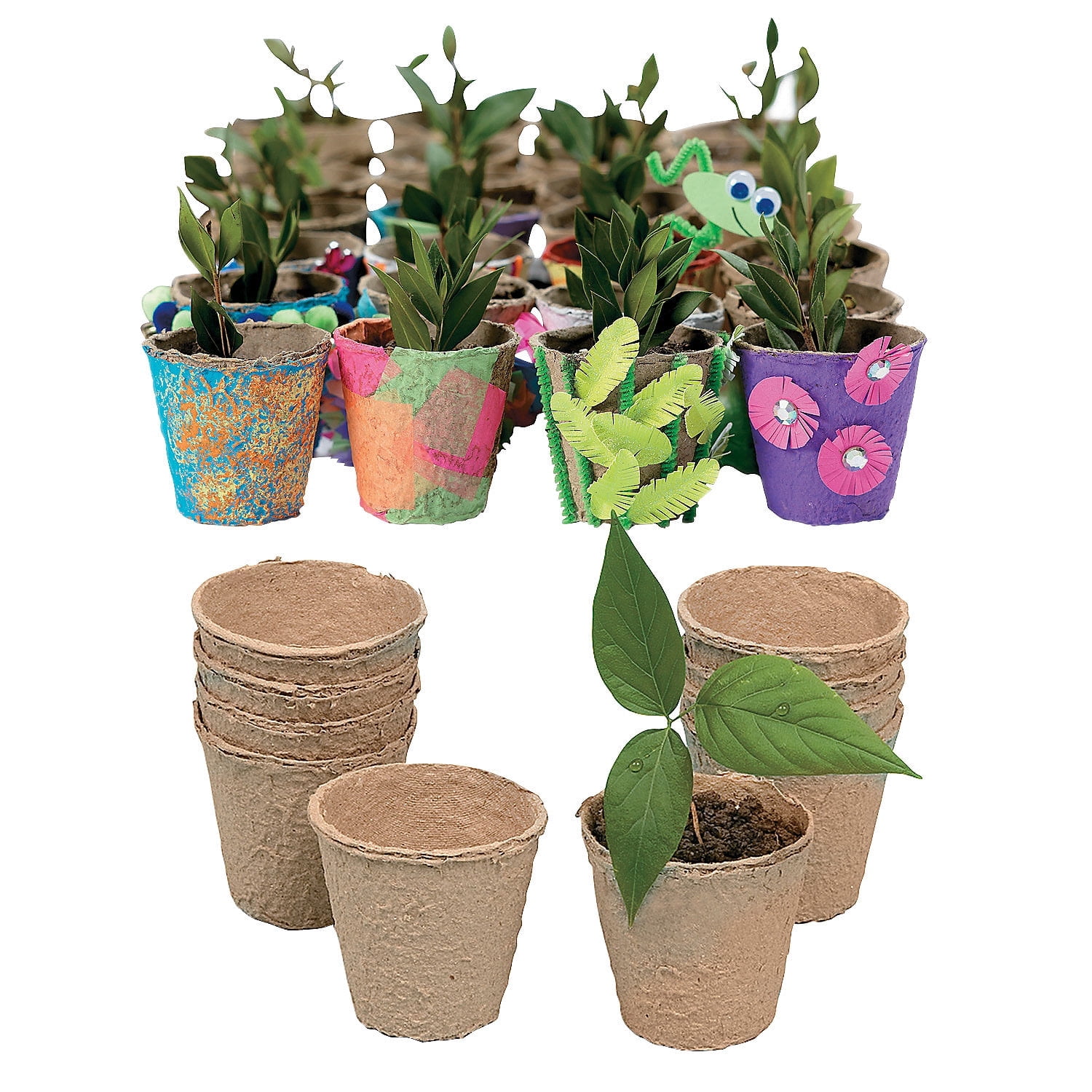 Fun Express DIY Watch It Grow Seed Pots - 96 Pc - Walmart.com