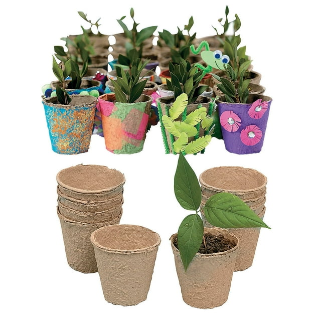 Fun Express DIY Watch It Grow Seed Pots - 96 Pc - Walmart.com