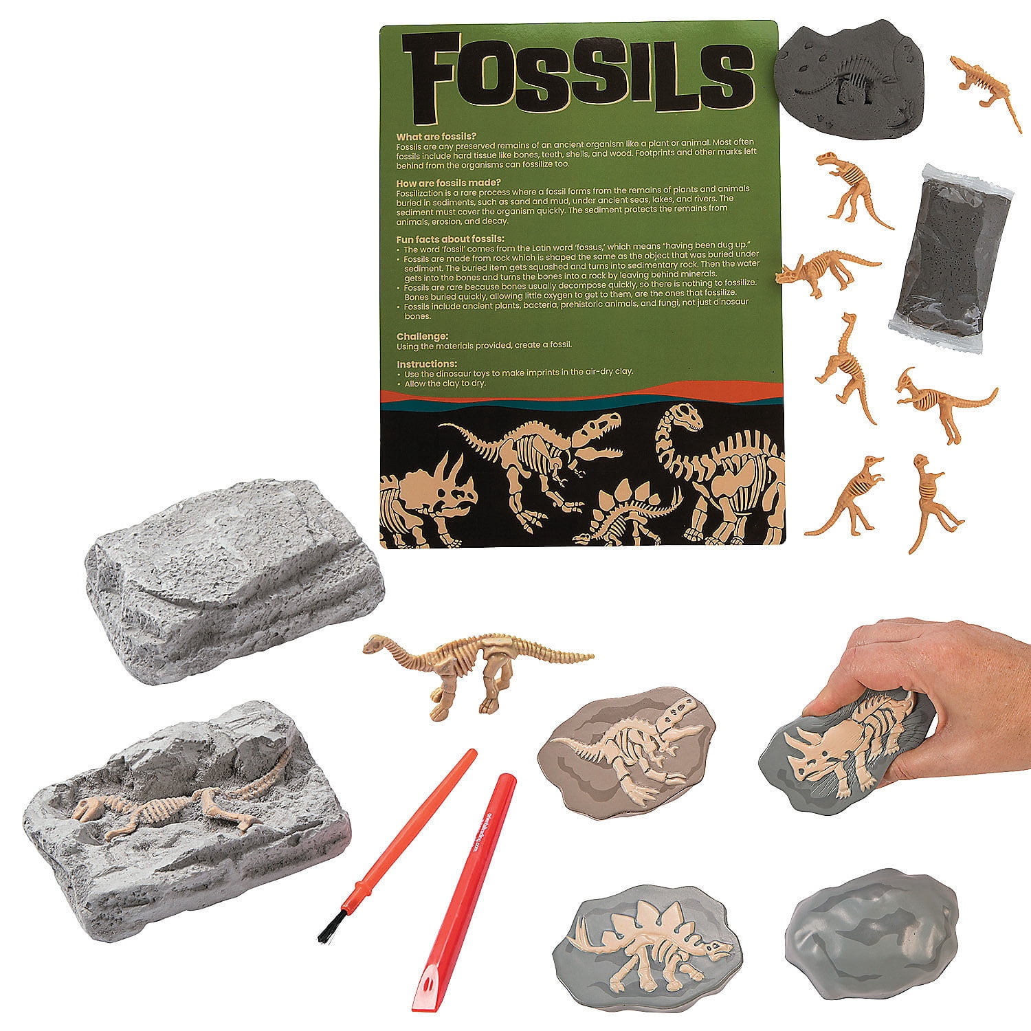 Fun Express Fossil Kit Assortments May Vary - Walmart.com
