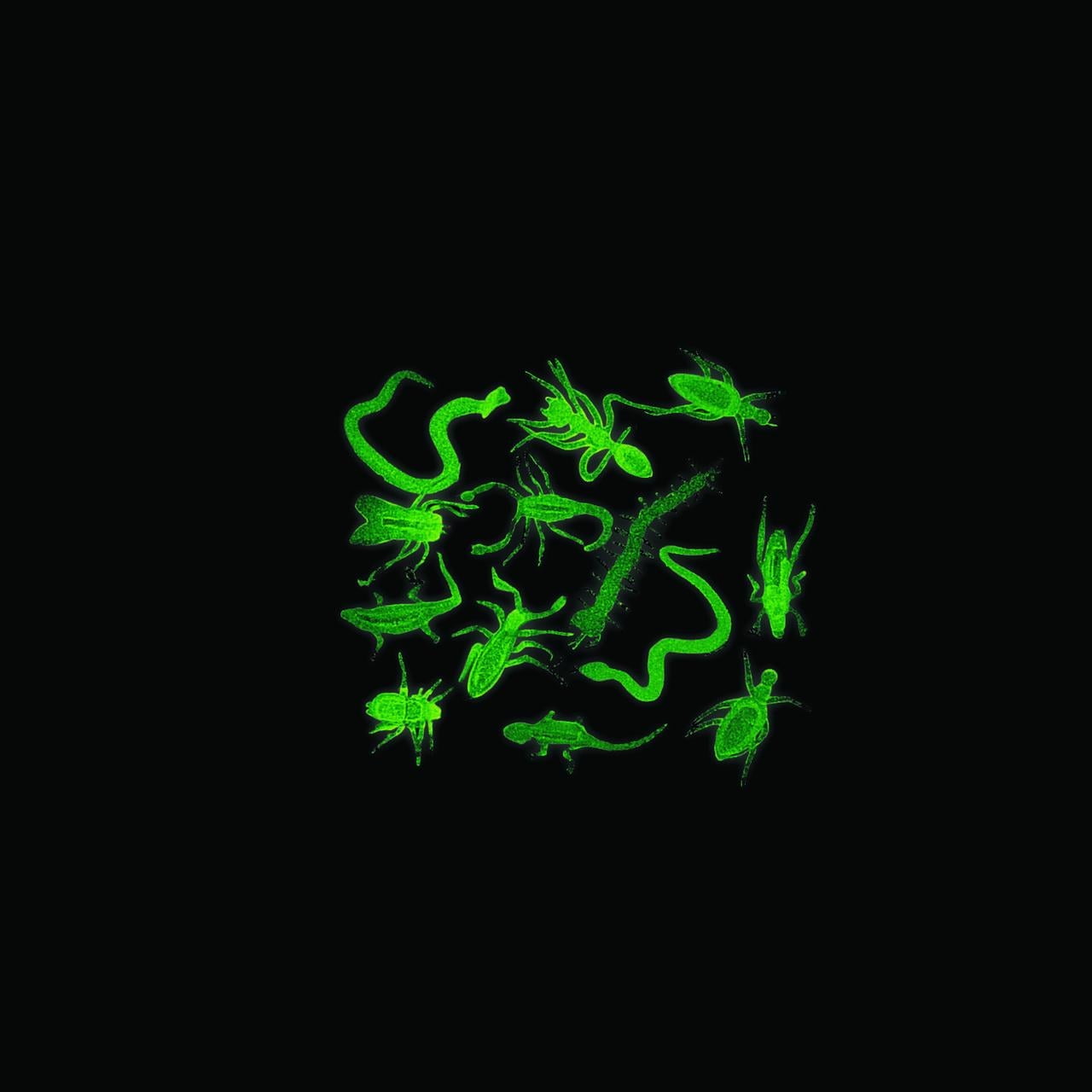 Fun Express G-I-D Bugs Toy Set - Colorful Insect Figures for Kids ...