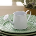 Fun Express Mini Watering Can Tabletop Decorations - 12 Pc - Walmart.com