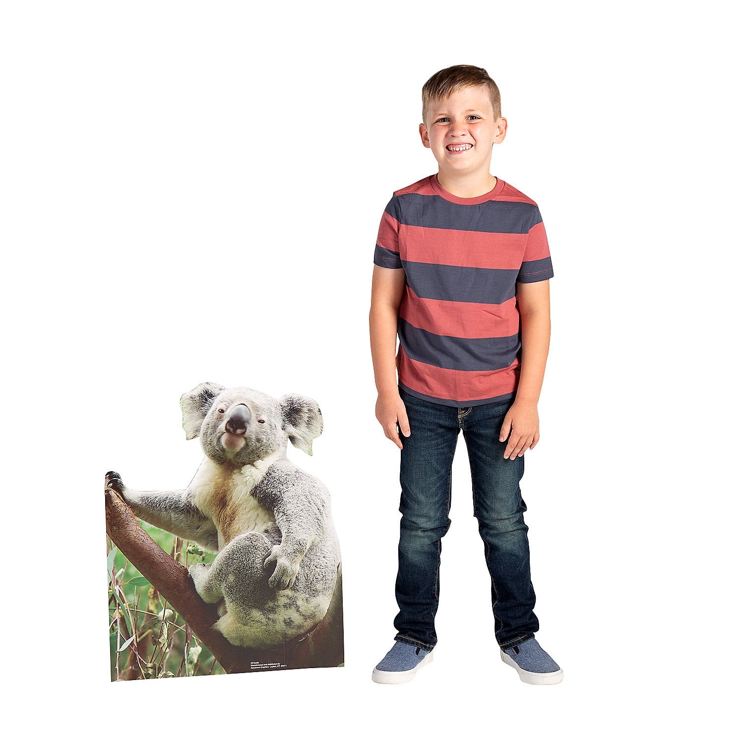 Fun Express Outback VBS Koala Stand-Up - Cute Australian Koala ...