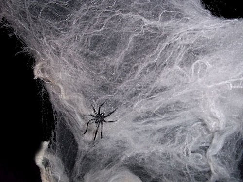 Fun Express Stretchable Spider Web with Spider - Walmart.com