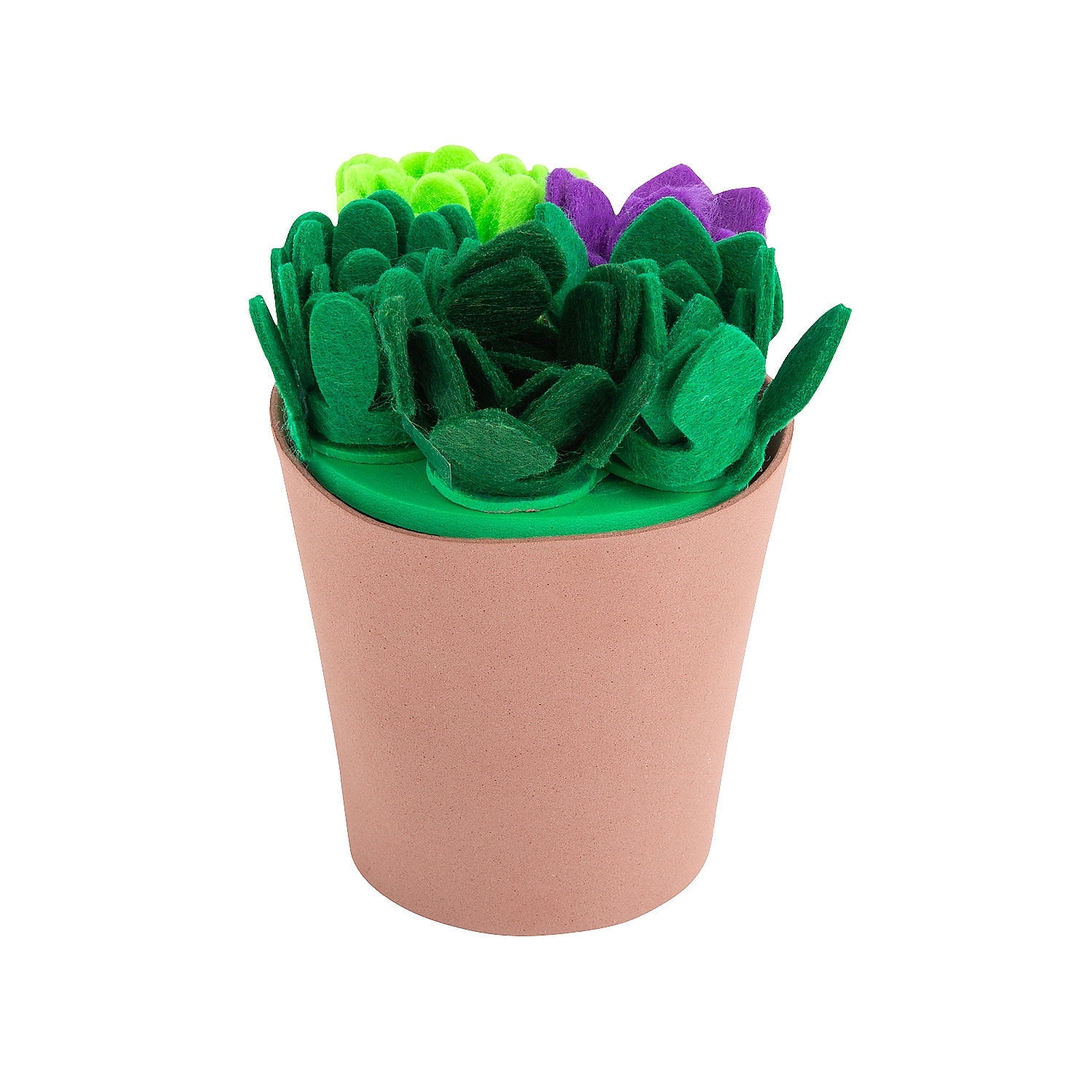 Fun Express Succulent Plant Craft Kit – Create 3 Succulent Plants with ...
