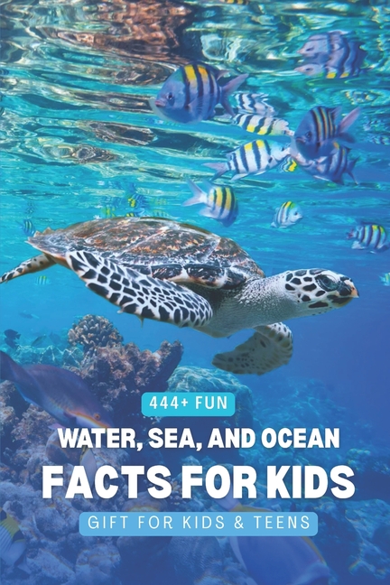 Fun Facts for Kids 6-8 444+ Fun Water, Sea, and Ocean Facts for Kids ...