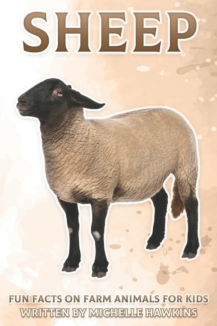 Fun Facts on Farm Animals for Kids Sheep: Fun Facts on Farm Animals for ...