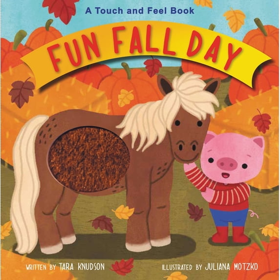Fun Fall Day: A Touch and Feel Board Book, (Board Book) - Walmart.com