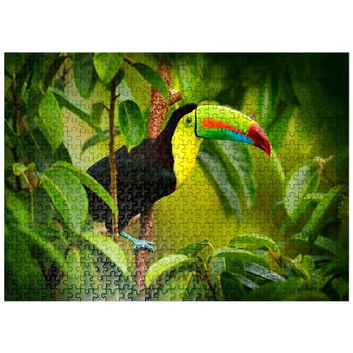 Fun Jigsaw Puzzle for Adults 1000 Pieces Costa Rica Wildlife. Toucan ...