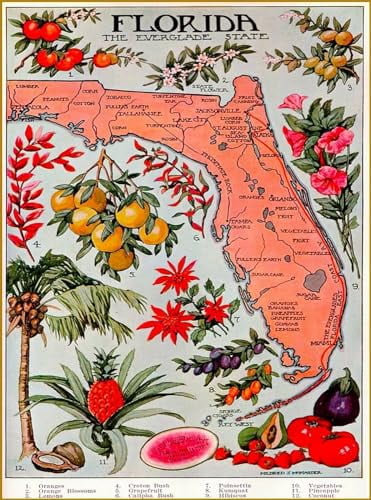 Fun Jigsaw Puzzle for Adults 1000 Pieces Florida The Everglades State ...