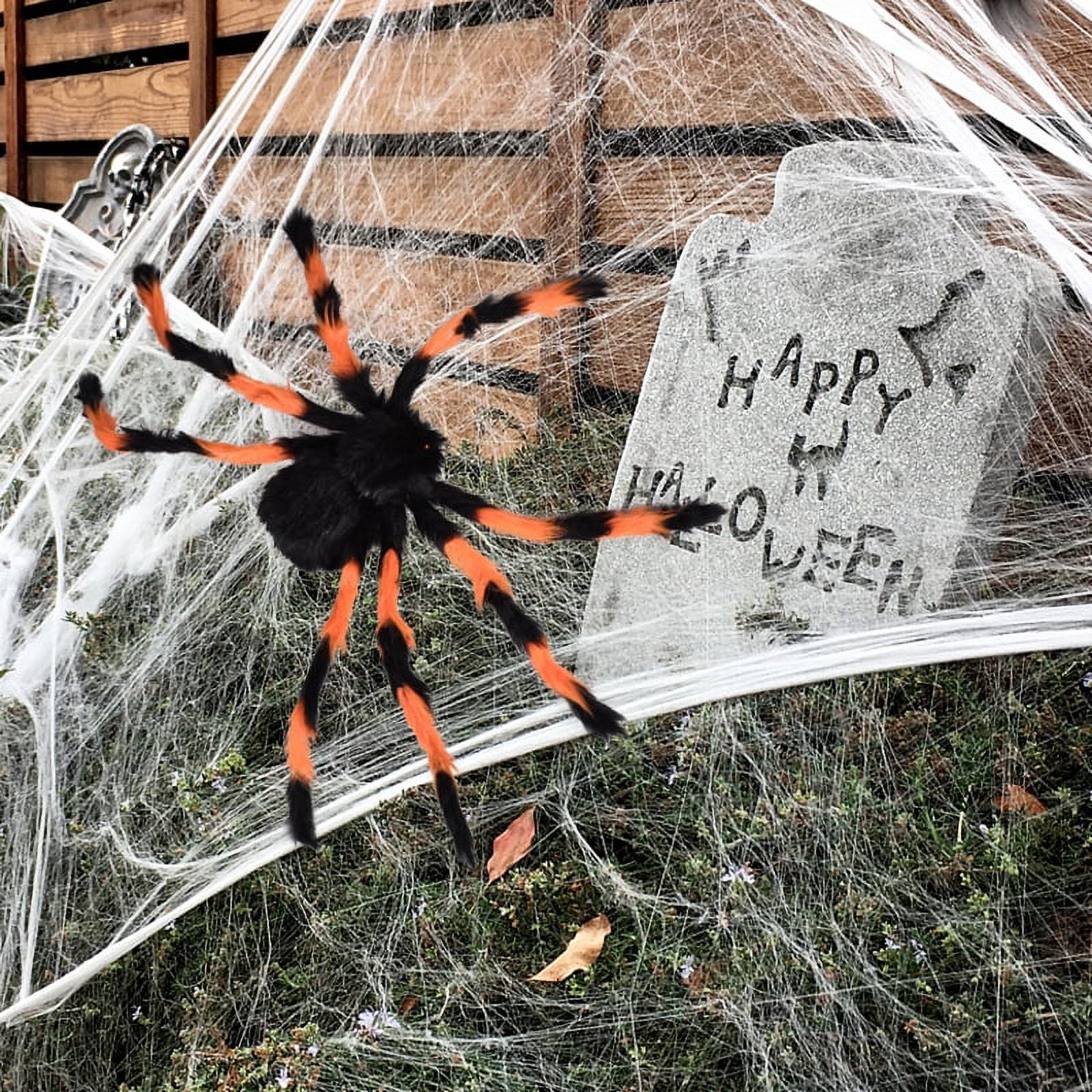 Tarantula Web