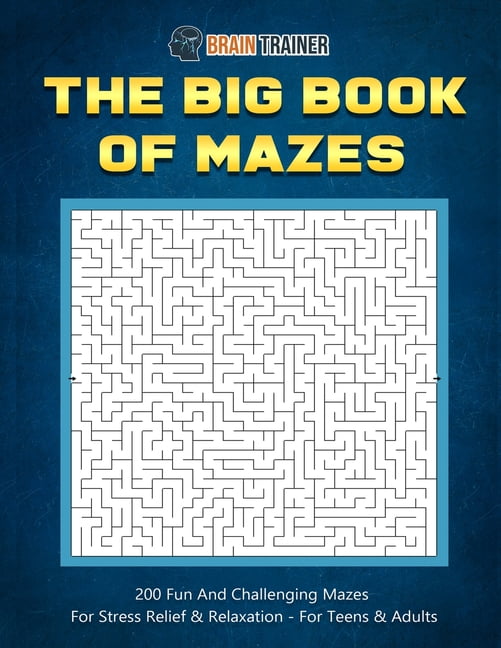 Fun Mazes for Everyone: The Big Book Of Mazes 200 Fun And Challenging ...