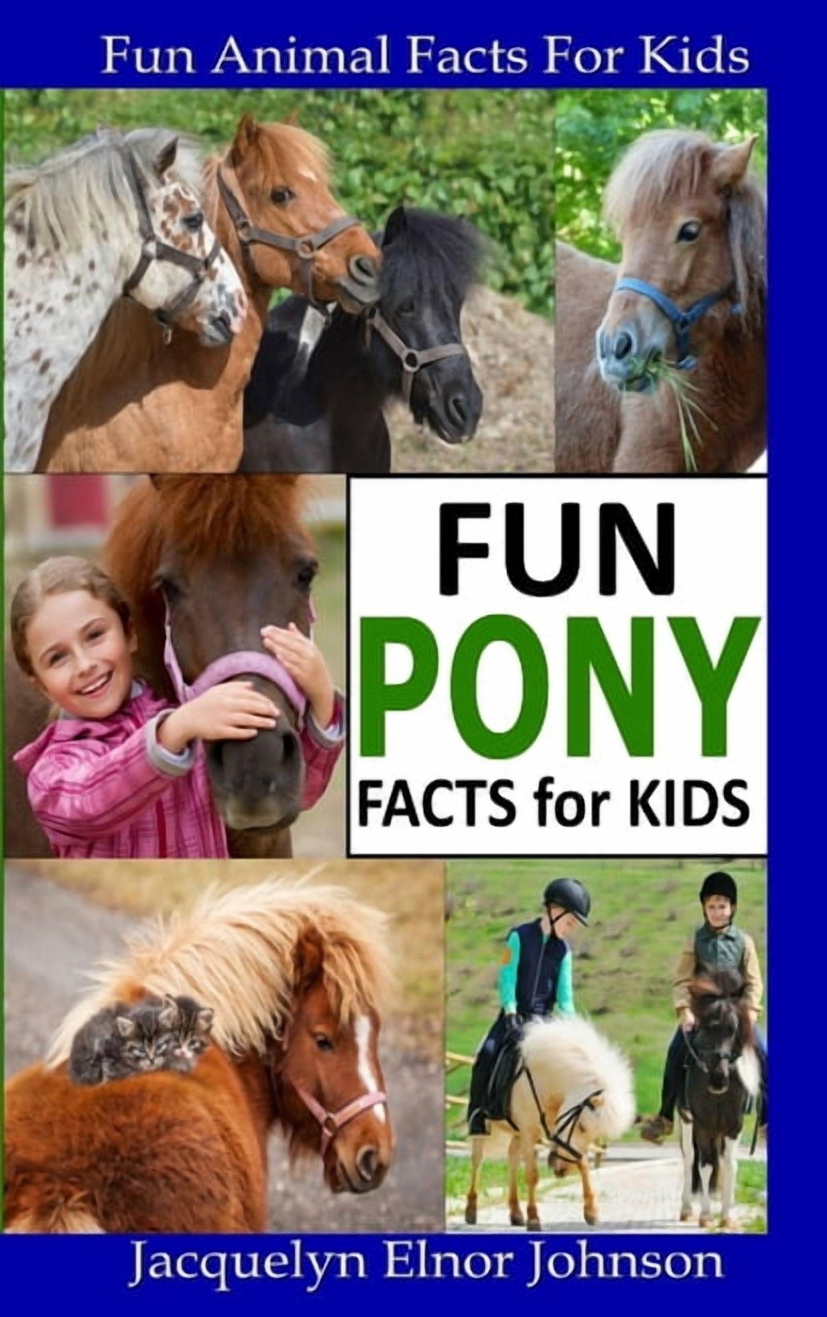 Fun Pony Facts for Kids, (Hardcover) - Walmart.com