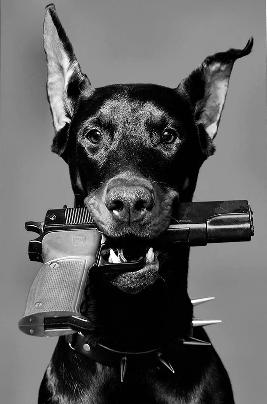 Fun Puzzles For Adults Black And White Doberman With A Gun Wooden ...