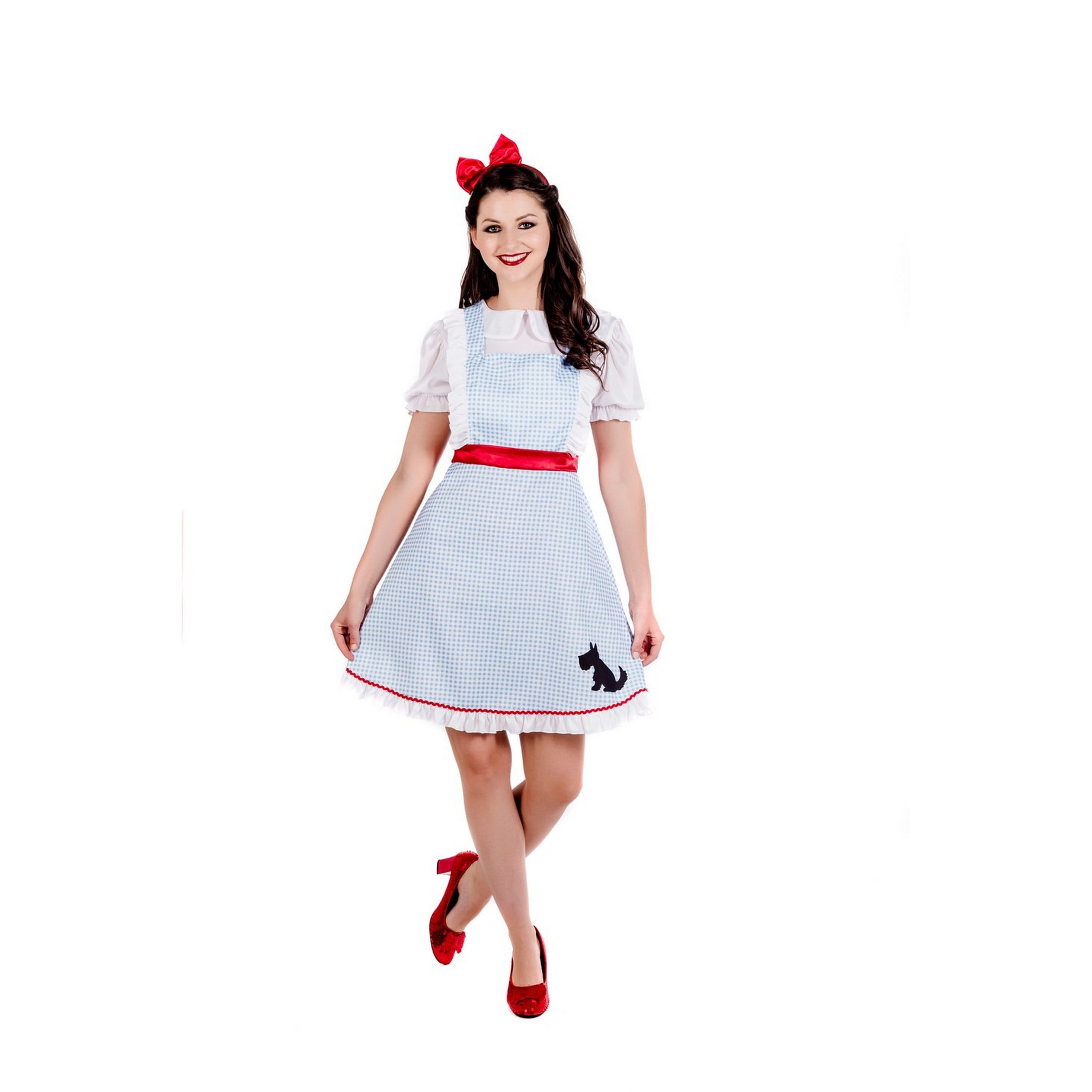 Fun Shack Womens Dorothy Costume Ladies Wizard of Oz Fancy Dress Book ...
