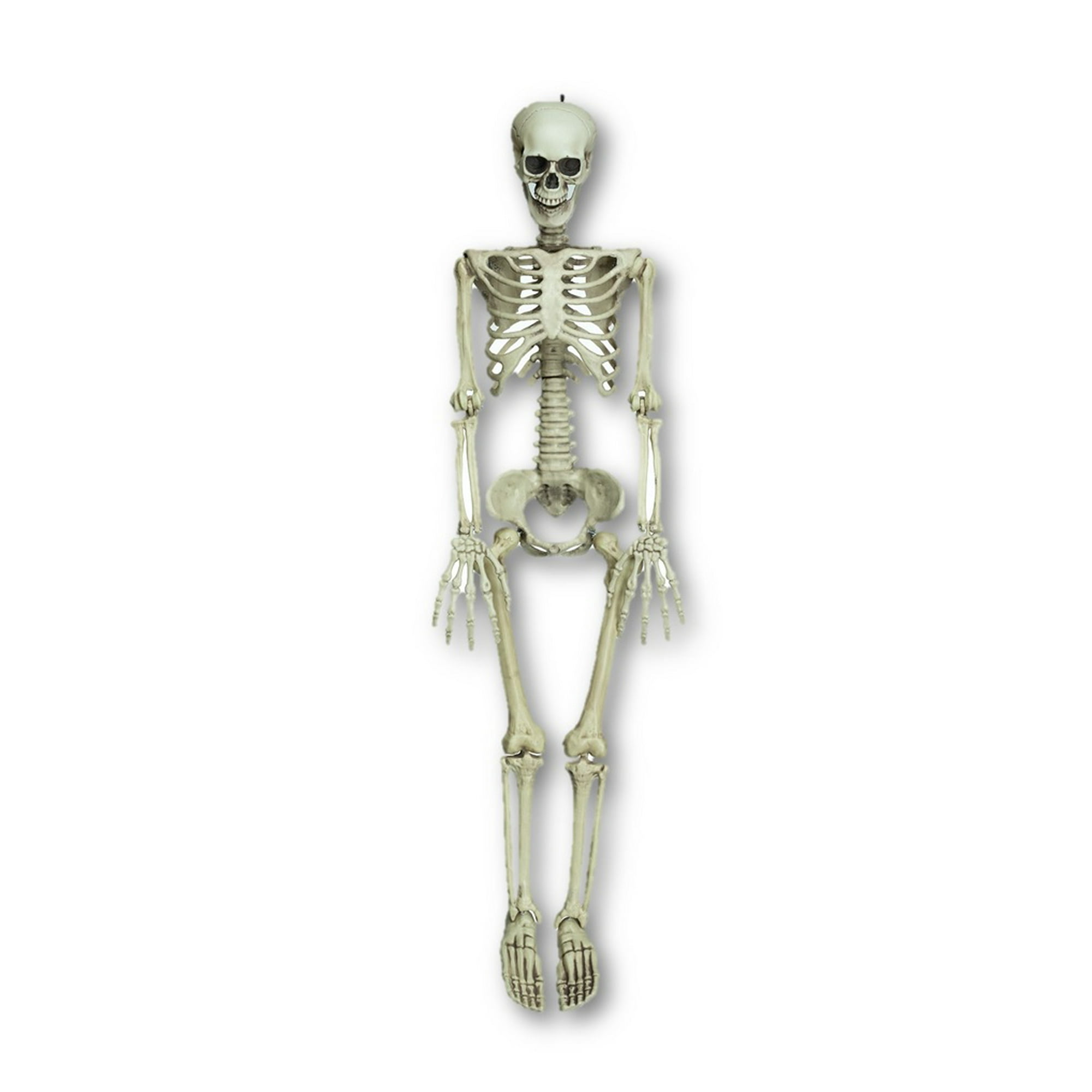 Articulated Human Skeleton
