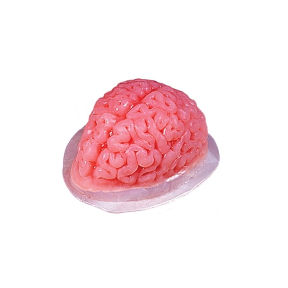 Fun World Halloween Food Jello Brain Candy Mold - Walmart.com