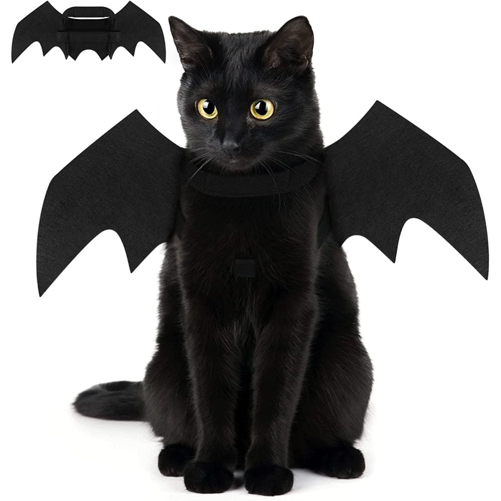 Fun and Festive Pet Halloween Costume - Adorable Cat Bat Wings Design ...