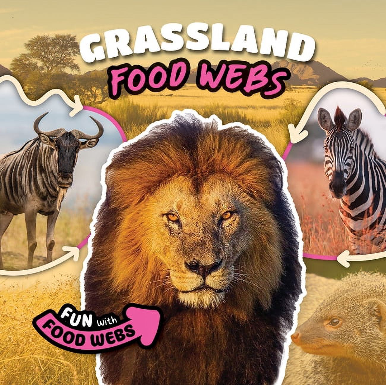Fun with Food Webs: Grassland Food Webs (Hardcover) - Walmart.com