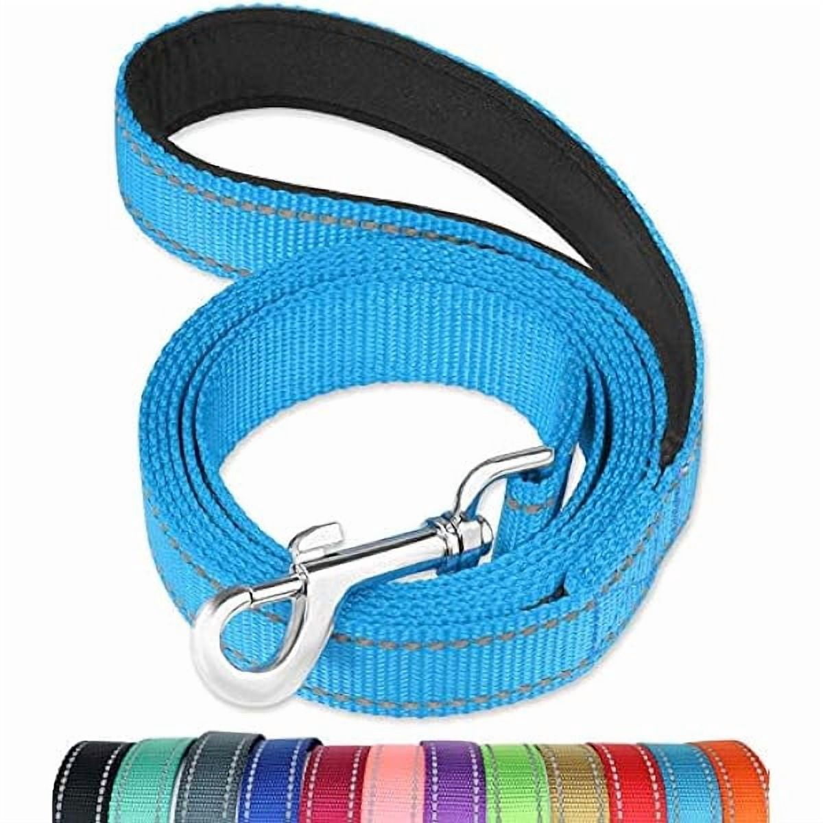 FunTages 6FT Sky Blue Reflective Dog Leash for Large & Medium Dogs ...