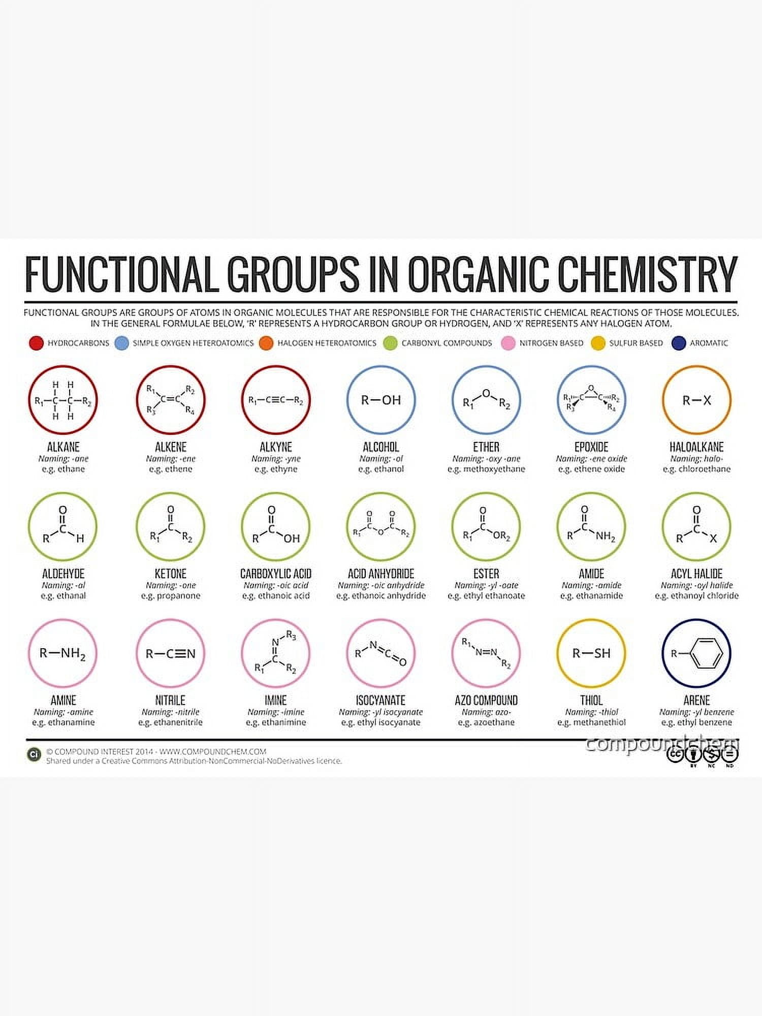 Functional Groups in Organic Chemistry Modern Art Decor Unframe ...