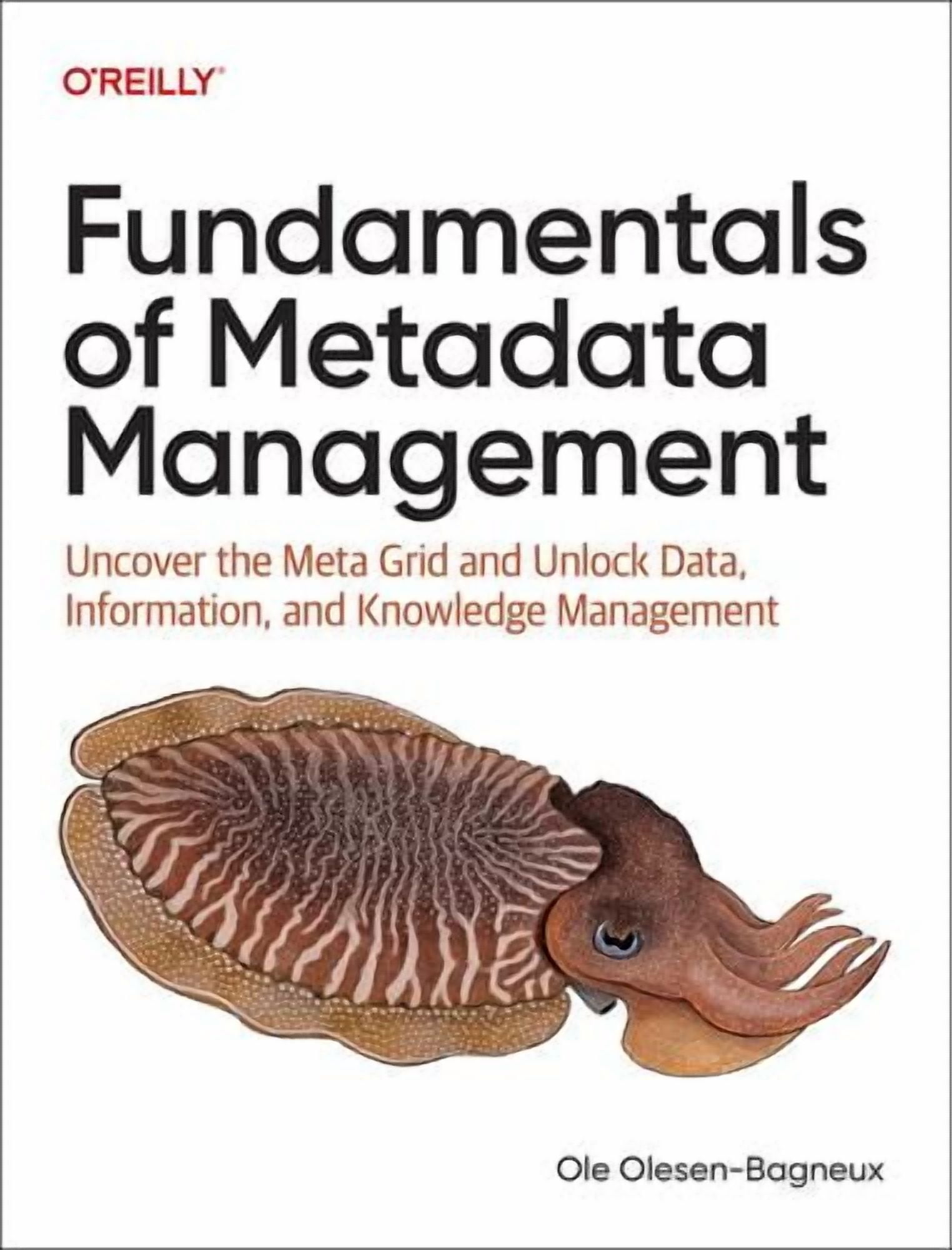 Fundamentals of Metadata Management: Uncover the Meta Grid and Unlock ...