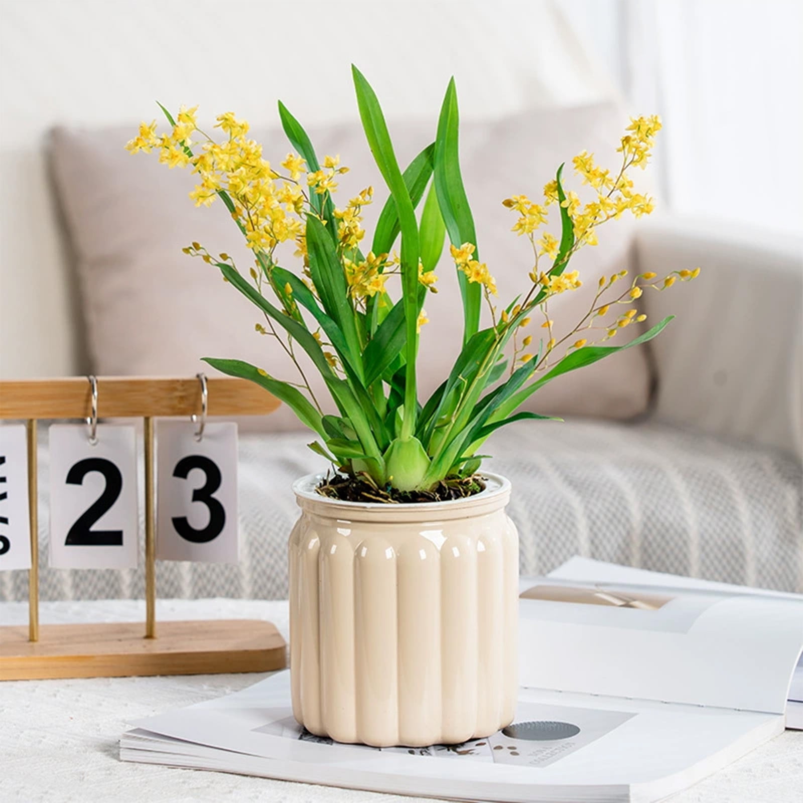 Funducts Self Watering Planters 4.5 Inch Self Watering Pots for Indoor ...