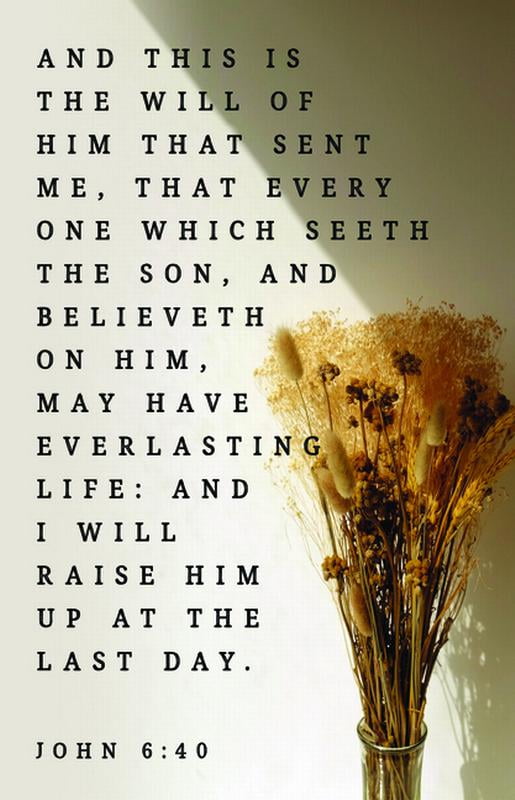 Funeral Bulletin: Have Everlasting Life (Package of 100) : John 6:40 ...