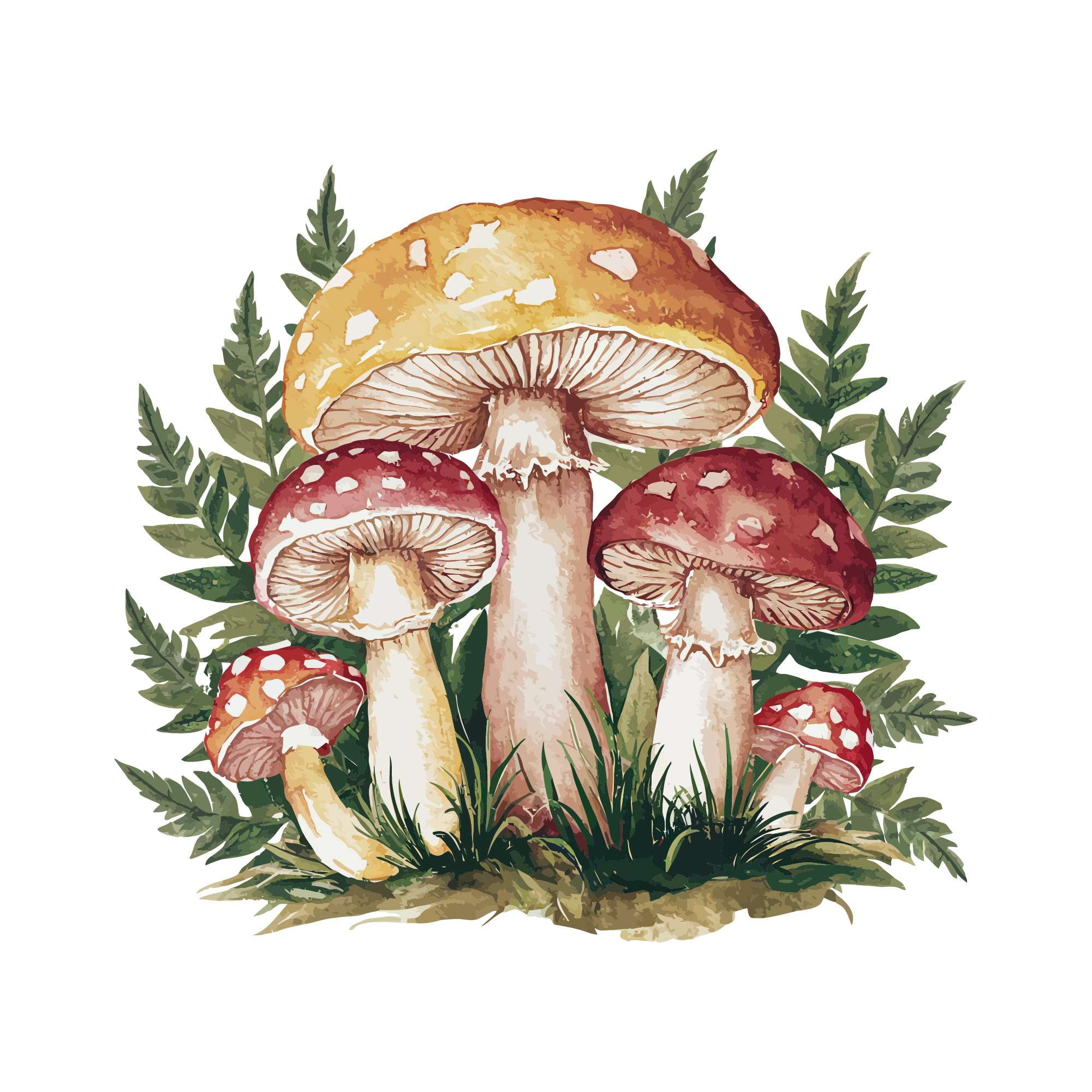 Fungi Edible Toadstool Harvest Mushroom Cartoon Wall Art Sticker ...