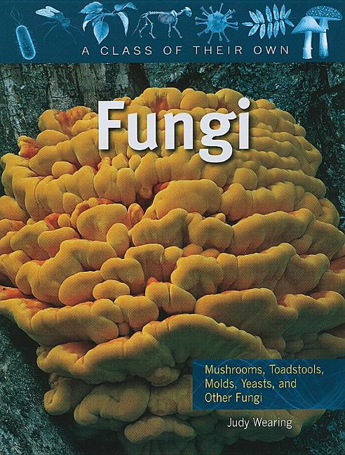 Fungi: Mushrooms, Toadstools, Molds, Yeasts, and Other Fungi (Paperback ...