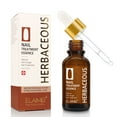 Fungi Nail Anti Fungal Liquid Solution Kills Fungus That Can Lead To Nail And Athletes Foot