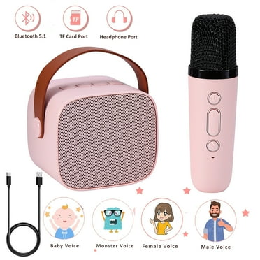 EARISE T12 Karaoke Machine with Singing Toy Microphone, Wireless ...