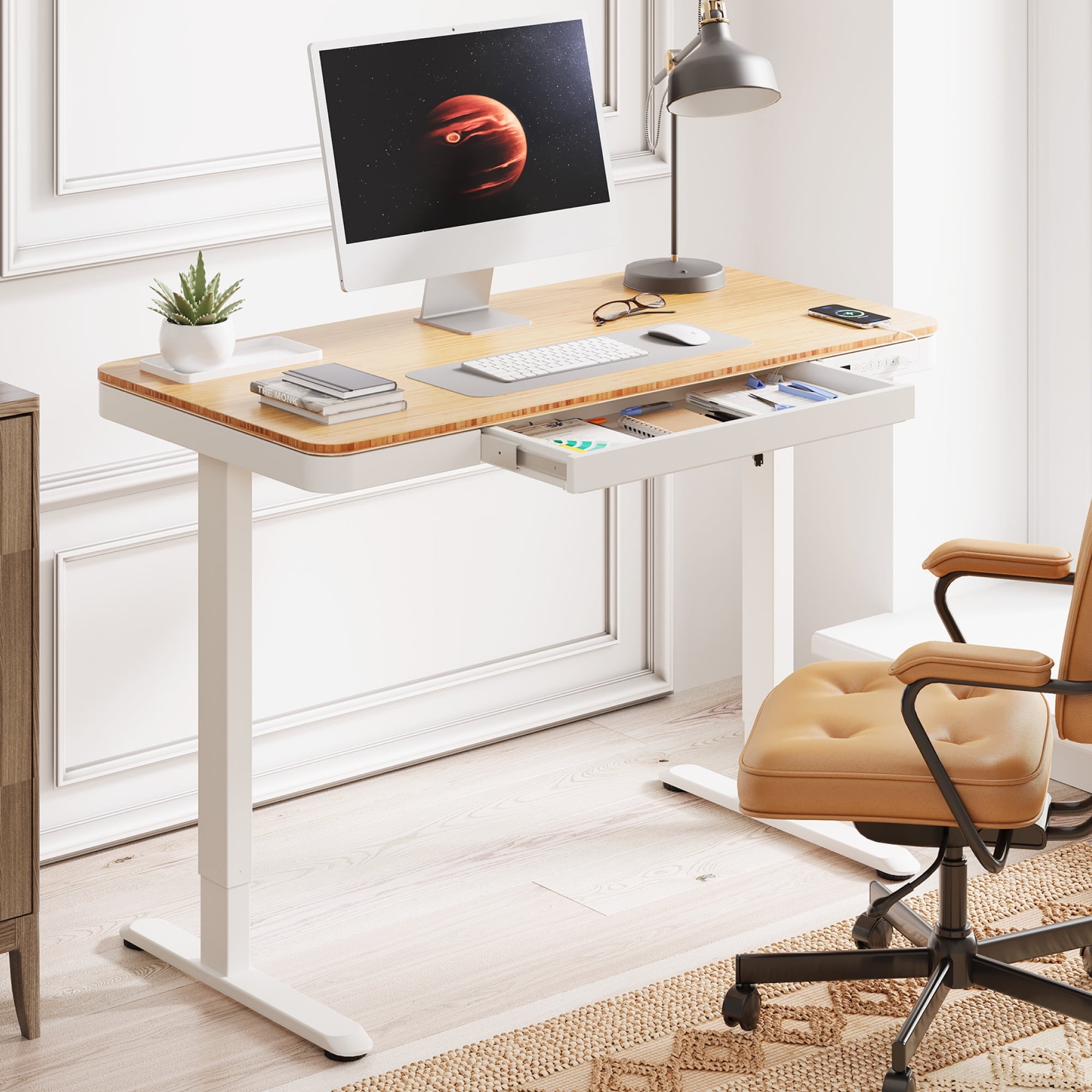 FunniHomi 48" Width Home Office Electric Standing Desk with Drawers ...