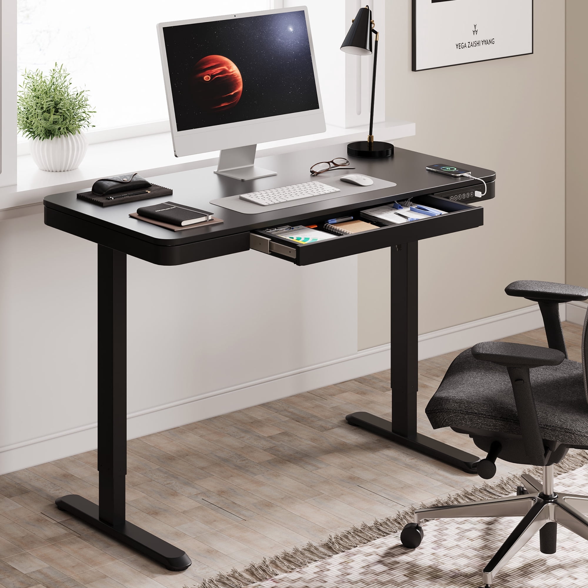 FunniHomi 48" Width Home Office Electric Standing Desk with Drawers ...