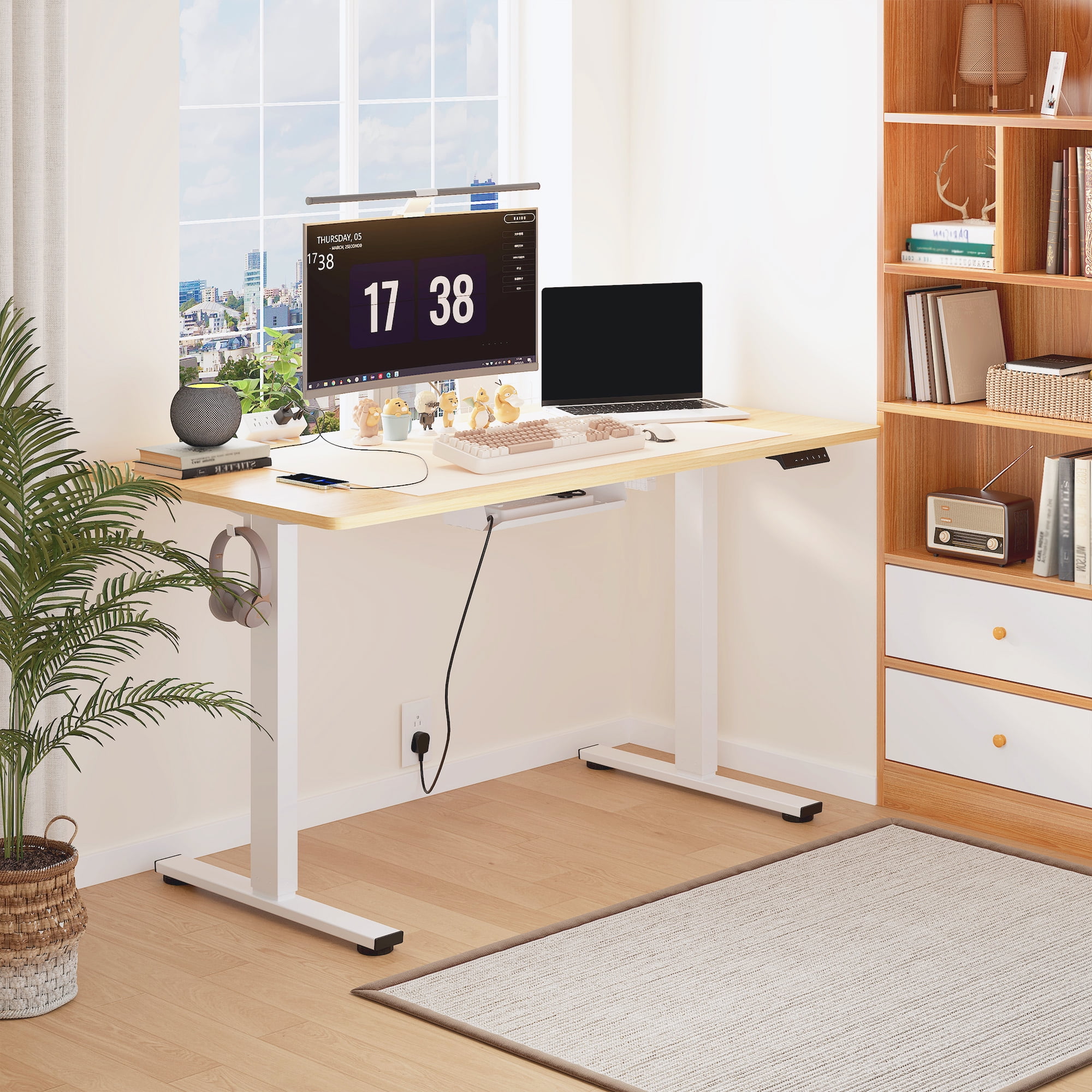 FunniHomi 55" x 28" Electric Height Adjustable Standing Desk with Hooks ...