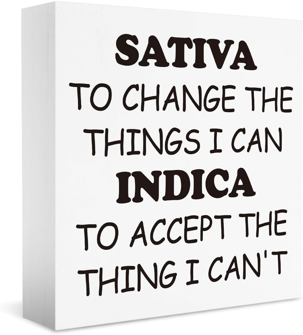 Funny Adorable Inspirational Office Desk Decor Cute Sativa To Change ...