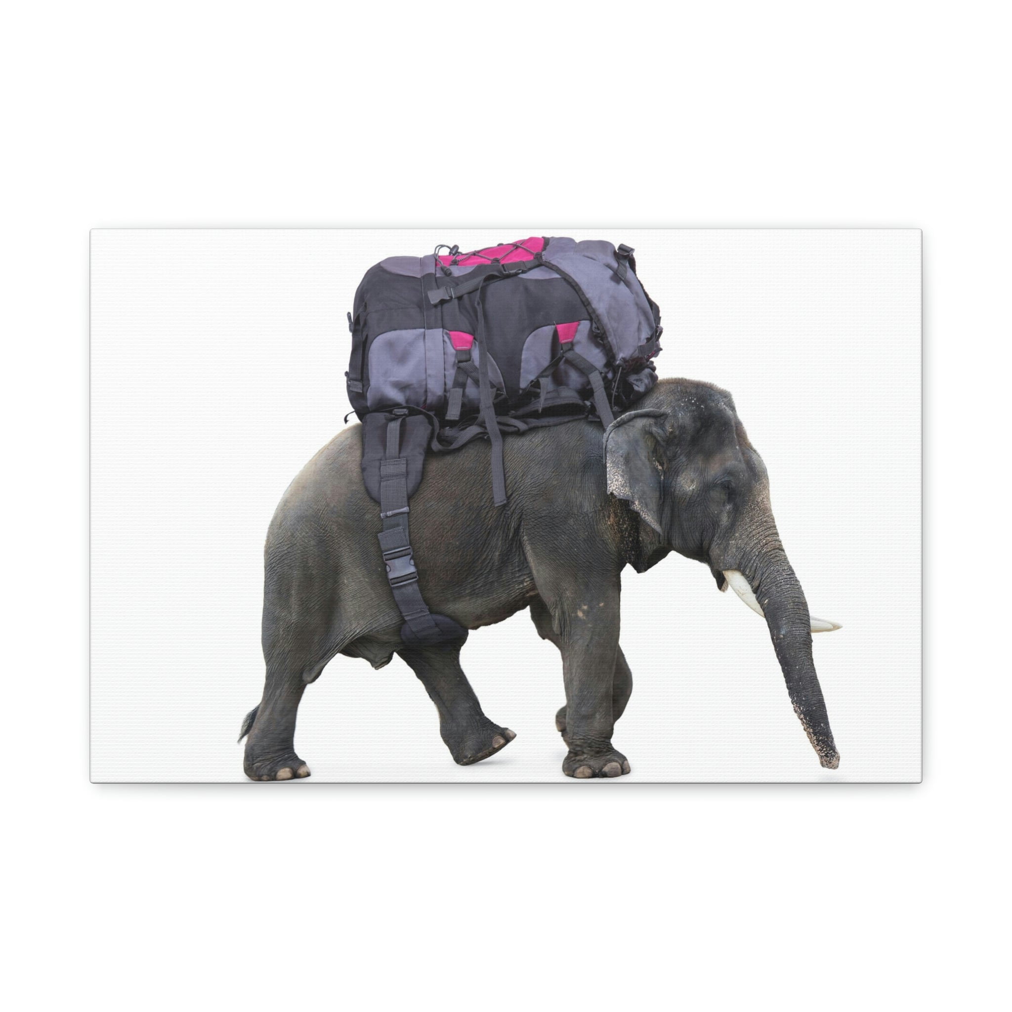 Funny African Elephant Silly African Elephant With a Backpack Inside ...
