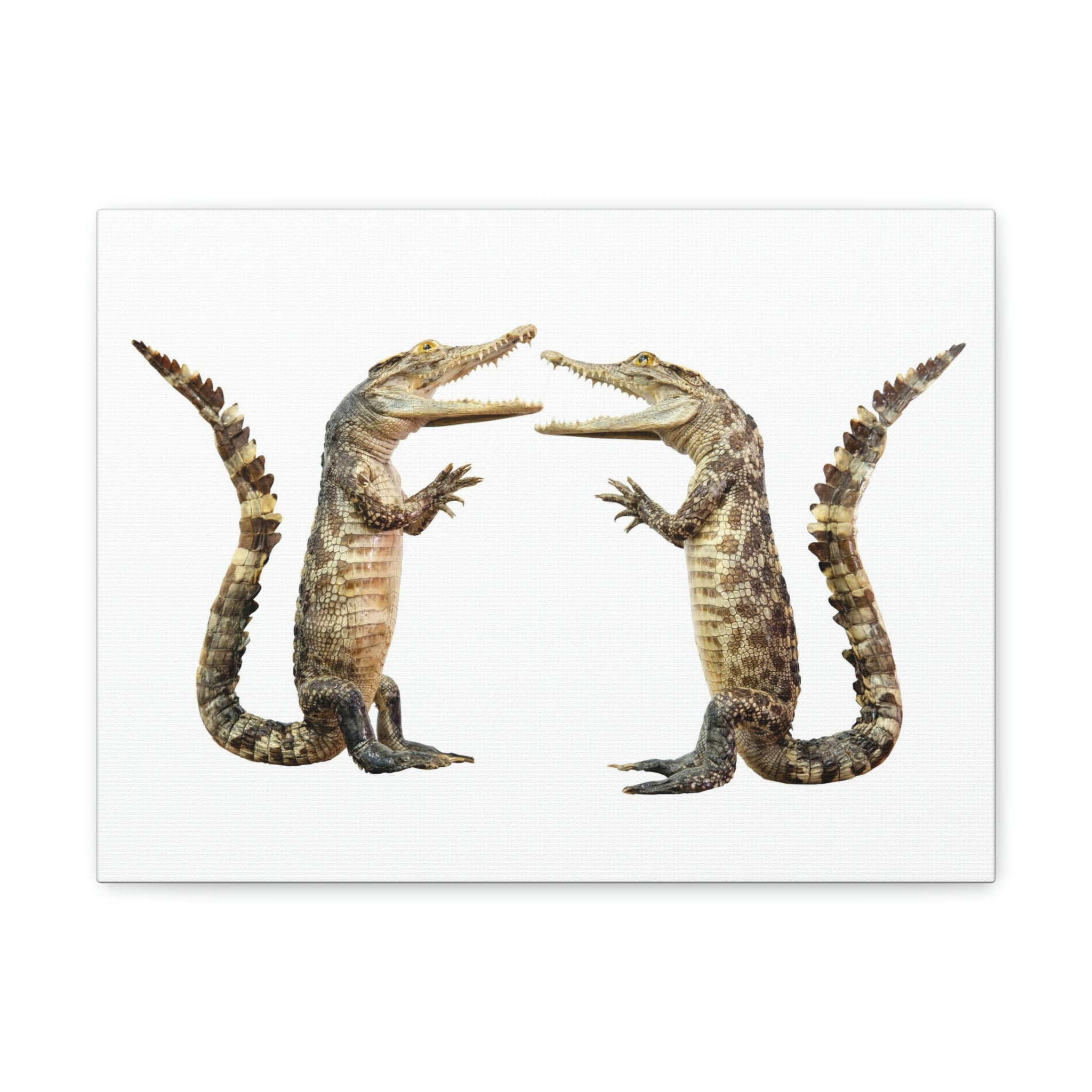 Funny Alligator Couple Dancing Inside Wall Art Ready to Hang Unframed ...