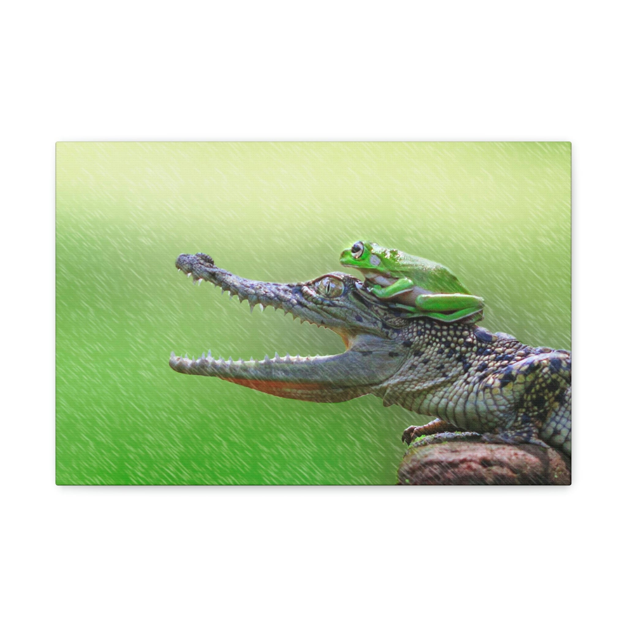Funny Alligator With Frog on Top of The Head Outside Wall Art Ready to ...