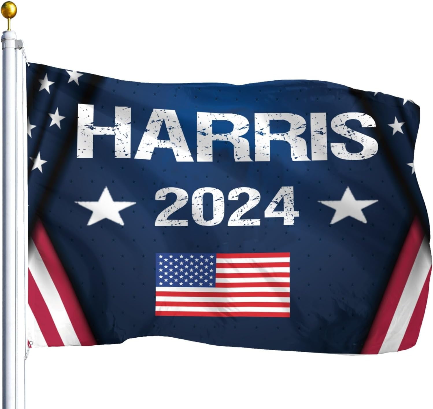 Funny America Election Vote Kamala Harris 2024 President Flags Outdoor ...