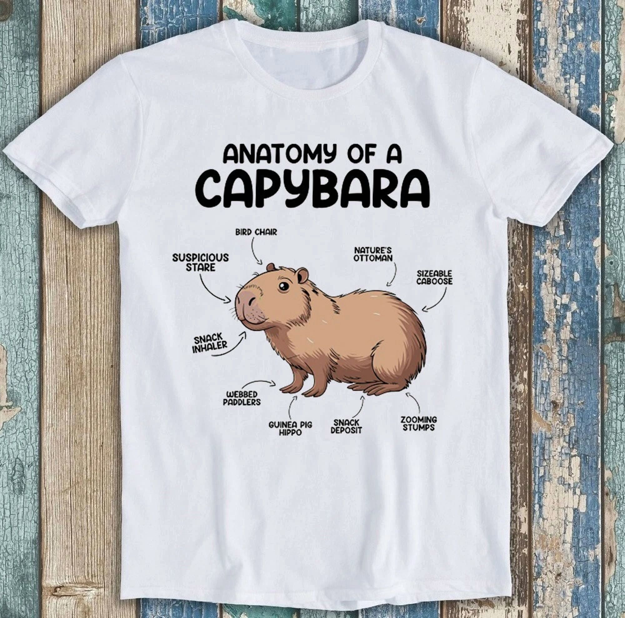 Funny Anatomy Of A Capybara Cute Animal Lover Meme Diagram Unisex T ...