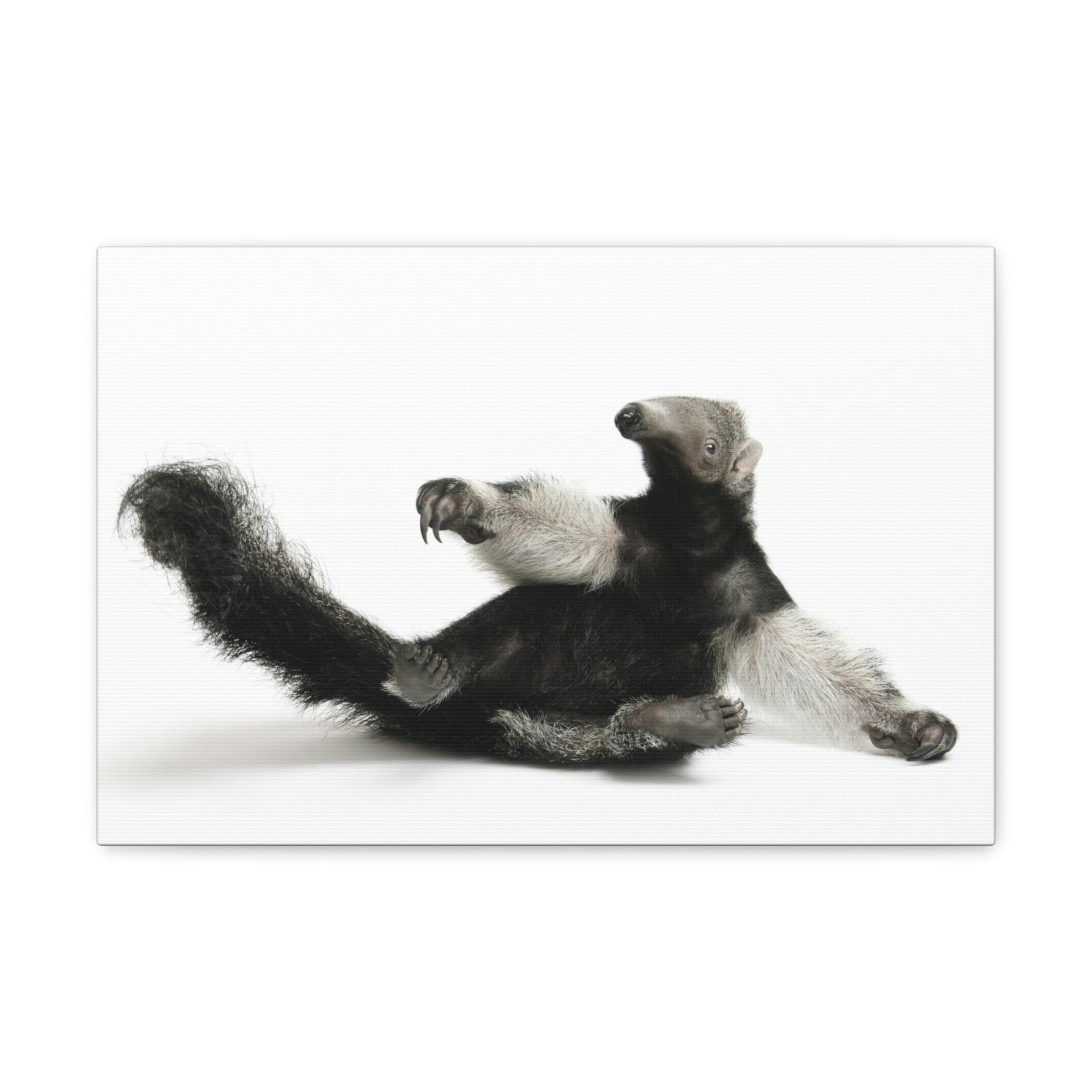 Funny Anteater Silly Anteater Inside Wall Art Ready to Hang Unframed ...