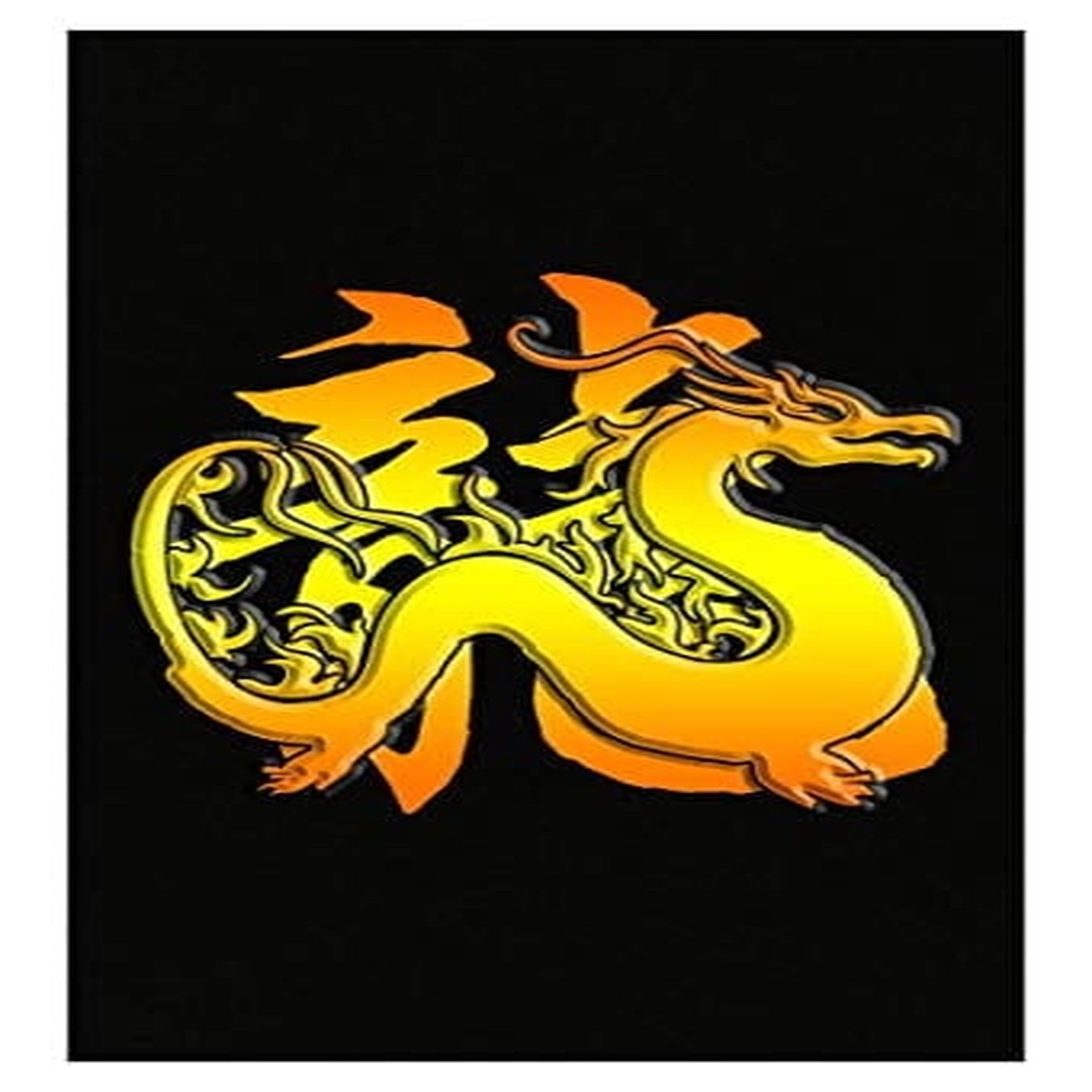 Funny Asian Dragon Poster - Wall Art Gift - Walmart.com