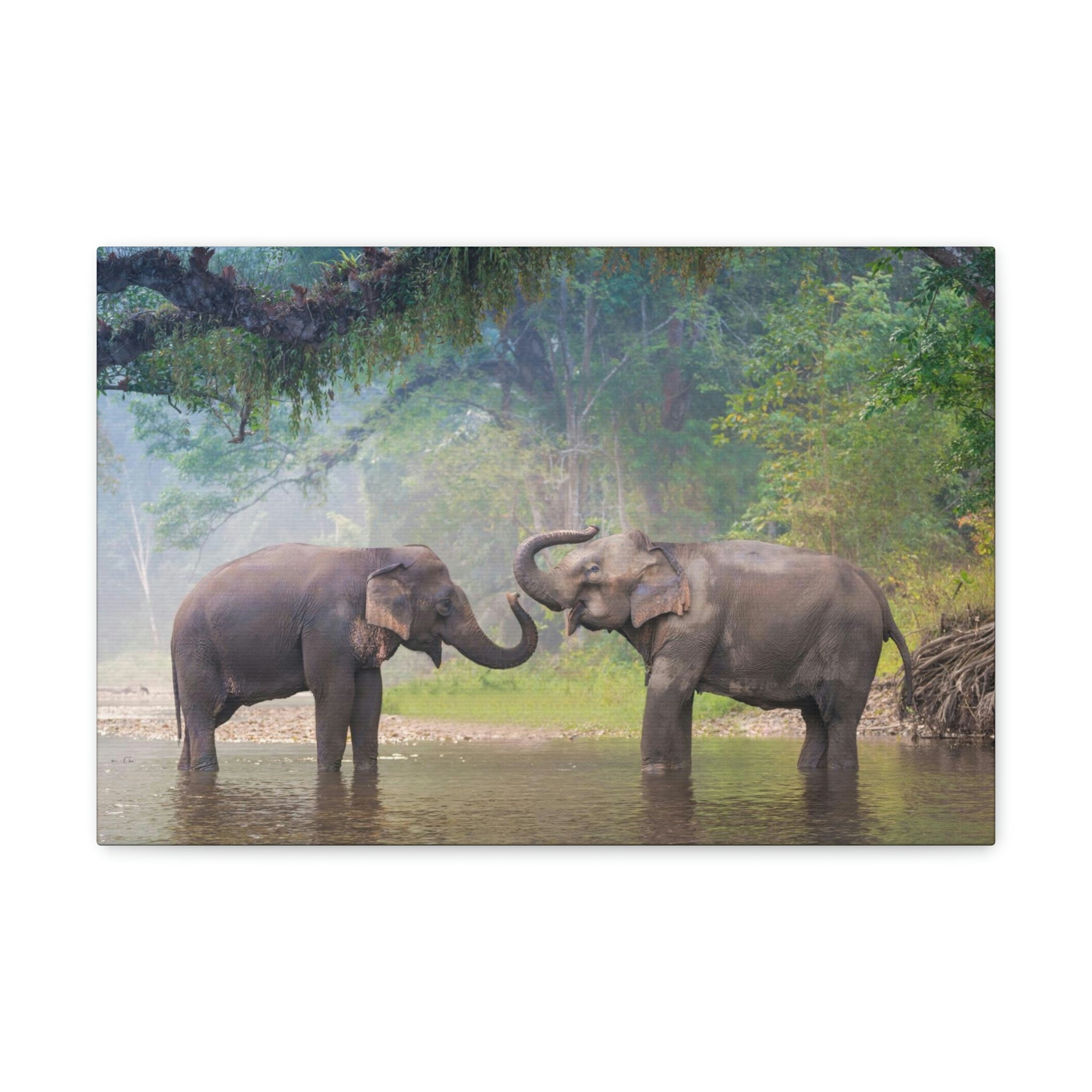 Funny Asian Elephant Silly Asian Elephant Couple Wall Art Ready to Hang ...